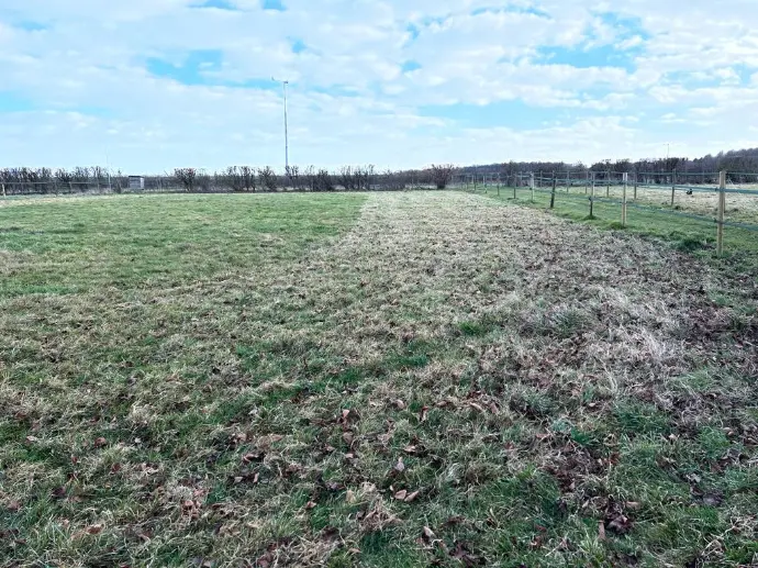 Chain harrow versus grass harrow for horse paddock maintenance