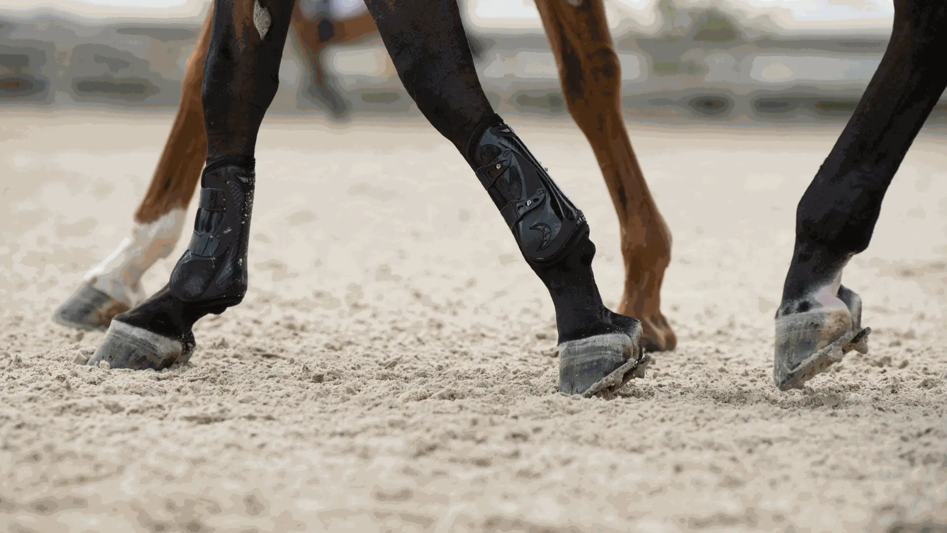 Understanding Equine Footfall | ArenaMate®